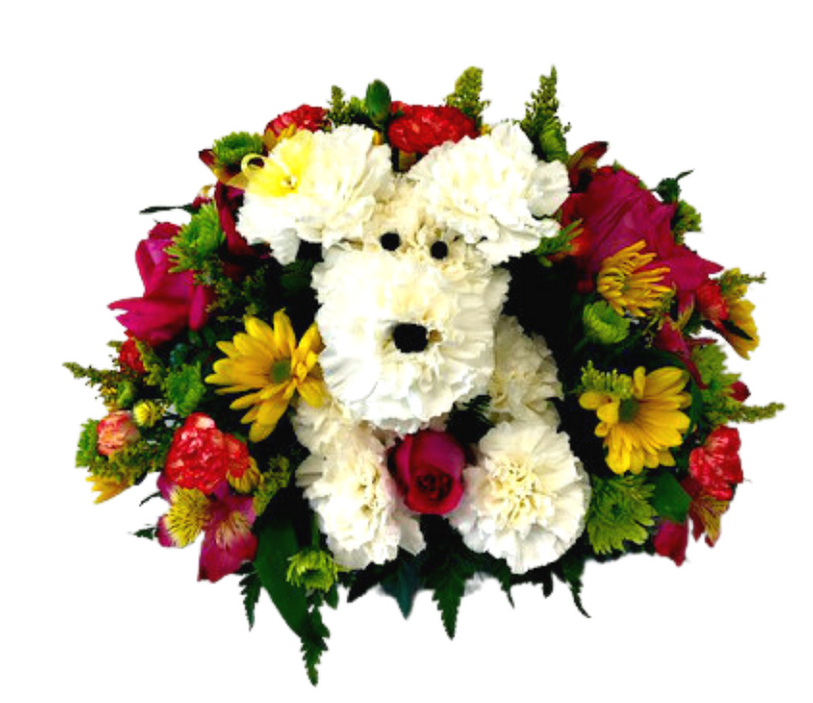 Big Daddy Pooch P-9032 | Fiesta Flowers Plants & Gifts