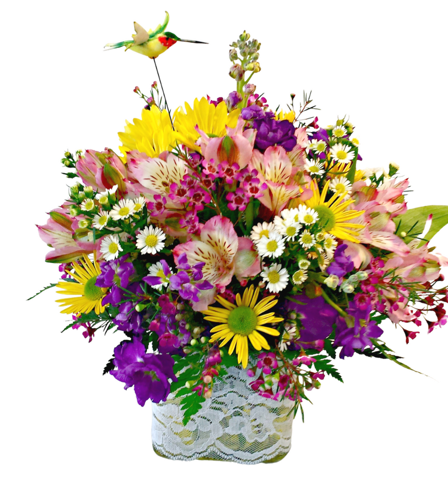 Hummingbird Wildflower Cube U-3028 | Fiesta Flowers Plants & Gifts