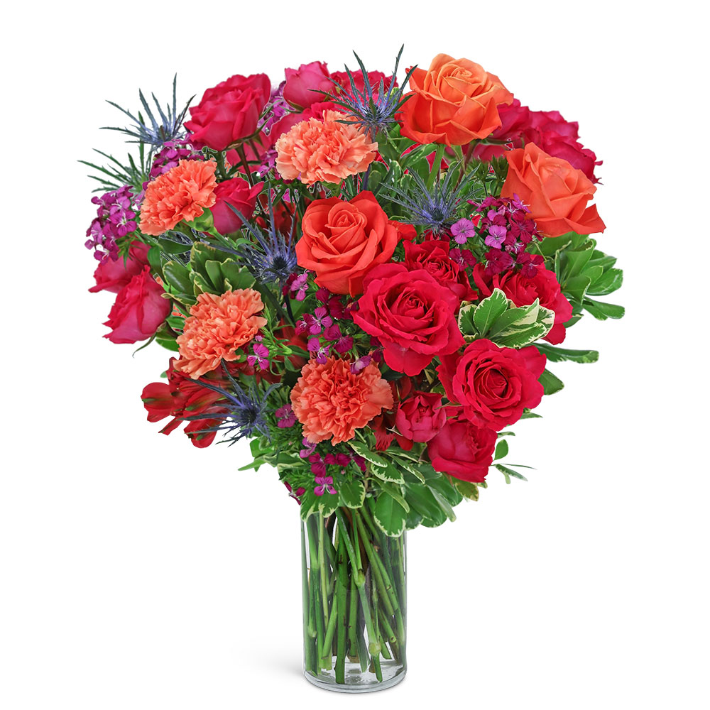 Brilliant Bellini Flower Delivery Virginia Beach VA - Daughters Flowers