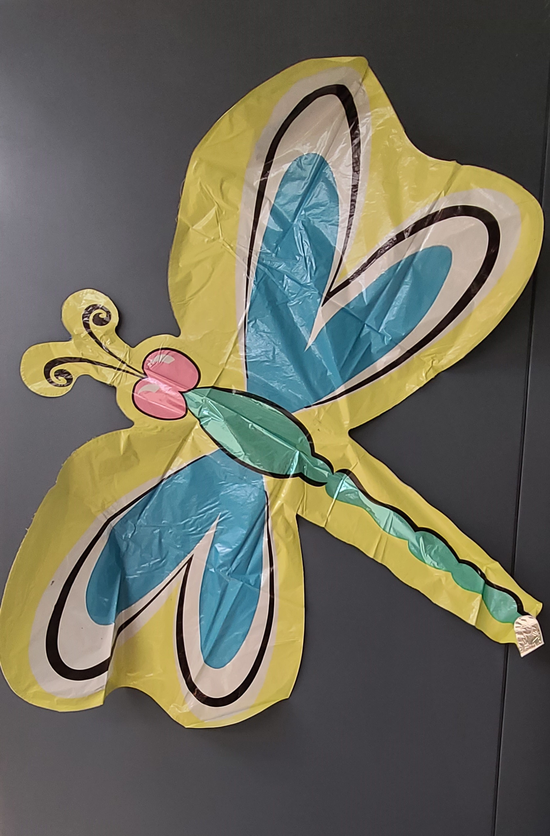 Large Dragonfly Flower Delivery Evanston IL - Prestons Florist