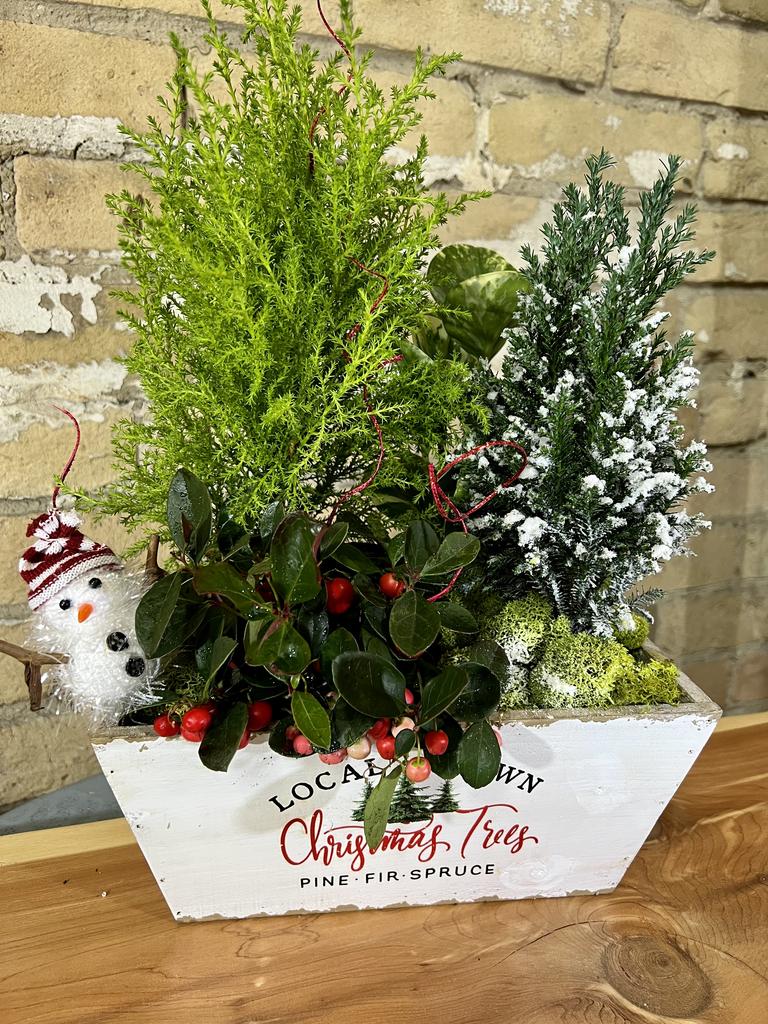 Christmas Trees Planter