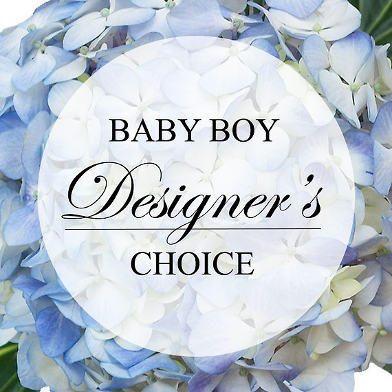 Baby Boy Designer Choice arranged by a florist in Lynchburg, VA : Bloom ...
