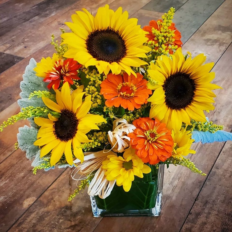 Summer Sunflower Cube | Middleboro MA Florist Wine & Gift Shop | Same ...