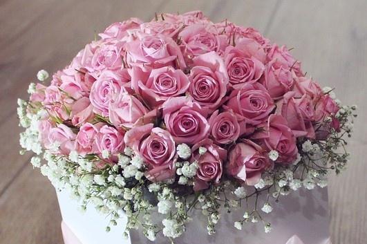 Four-dozen Pink Roses Arranged : Middleboro-based Florist Wine and Gift ...