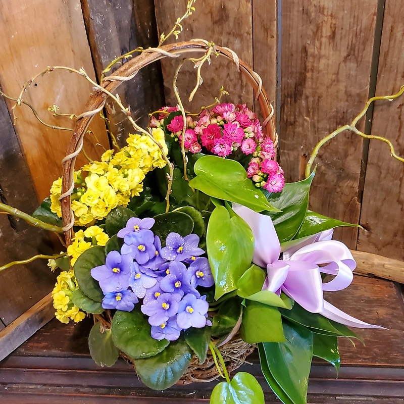 Spring Mixed Planter Basket : Middleboro, MA Florist, Wine & Gift Shop ...