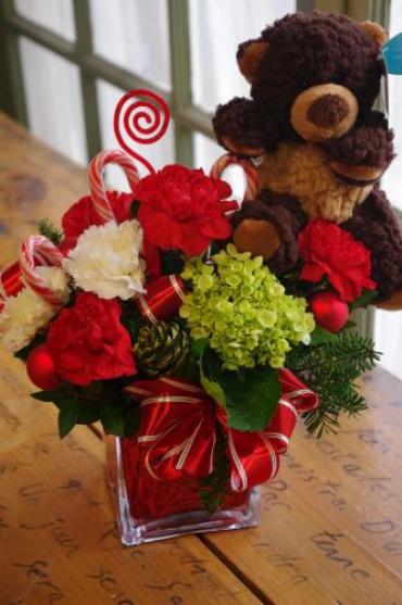Candy Cane Cube with Plush : Middleboro, MA Florist, Wine & Gift Shop ...