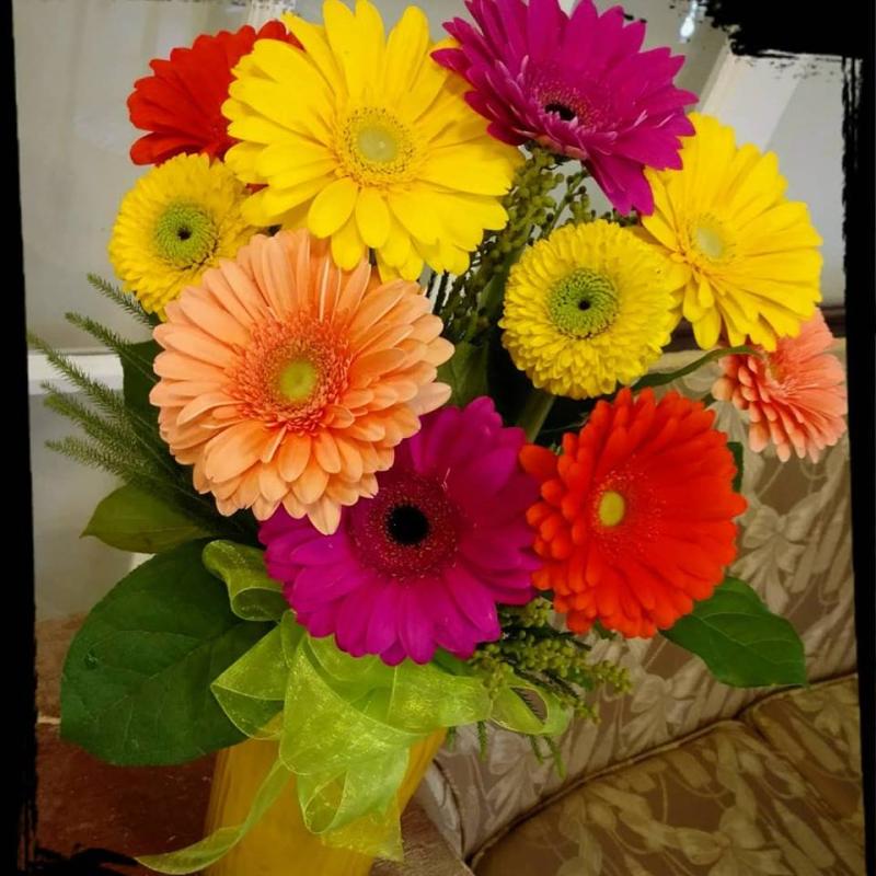Spring Gerbera Vase : Middleboro, MA Florist, Wine & Gift Shop : Same ...