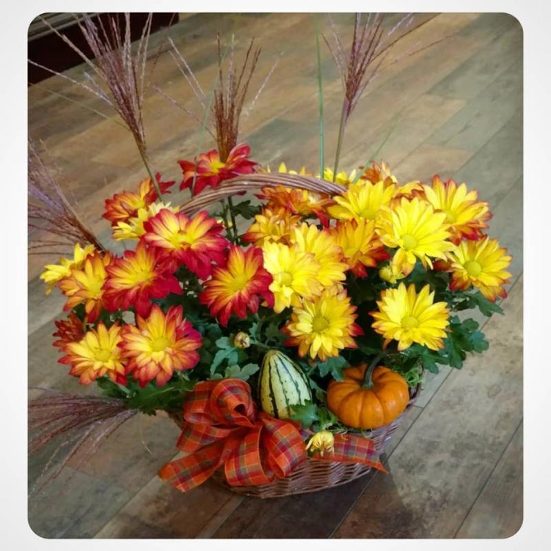 Double Pelee Mum in a Basket : Middleboro, MA Florist, Wine & Gift Shop ...