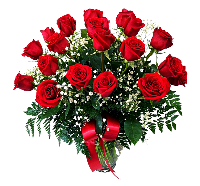 Fiesta Classic 2 Dozen Long Stem Red Roses VM-1766 | Fiesta Flowers ...