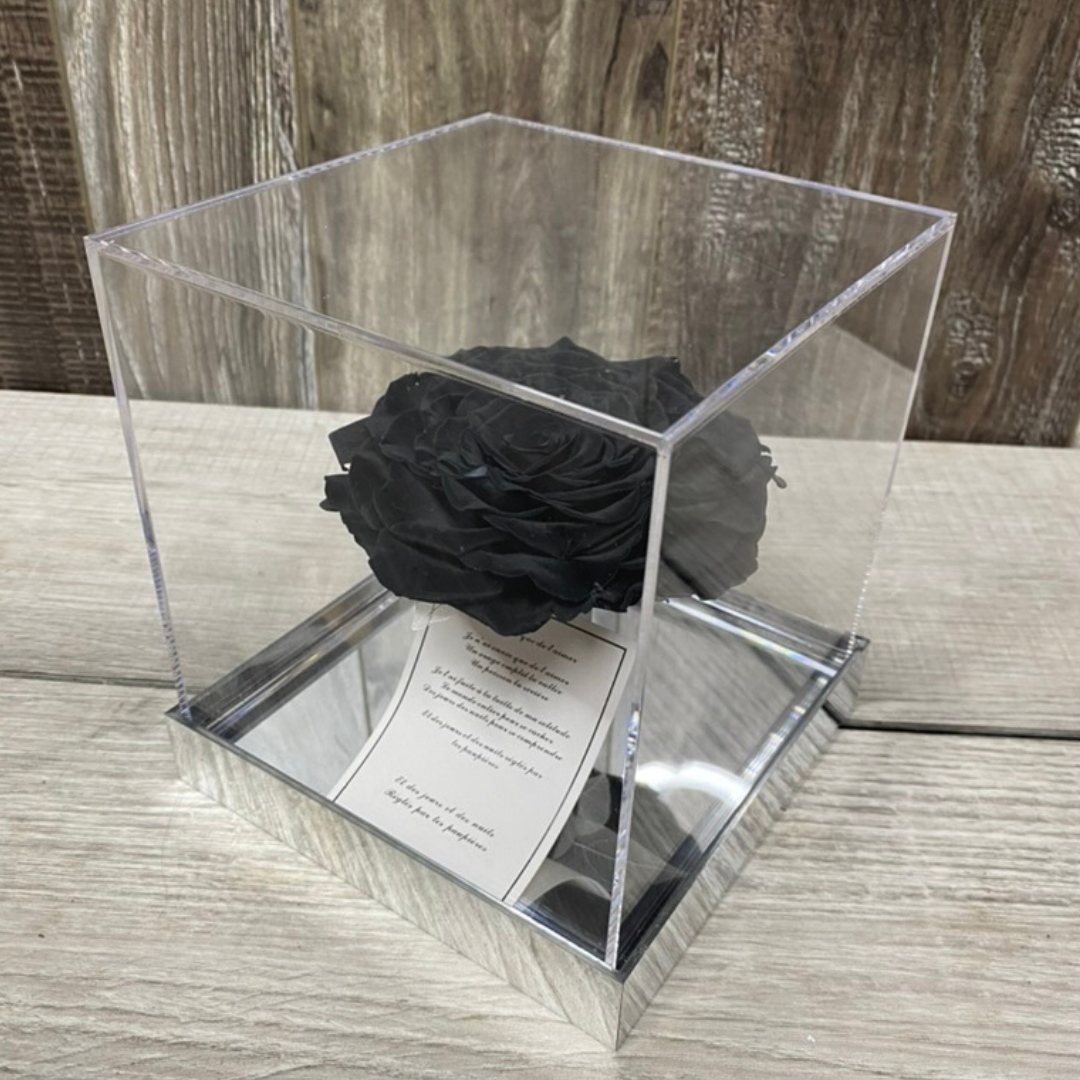 Single Black Forever Rose in Acrylic Box Flower Delivery Las Vegas NV ...