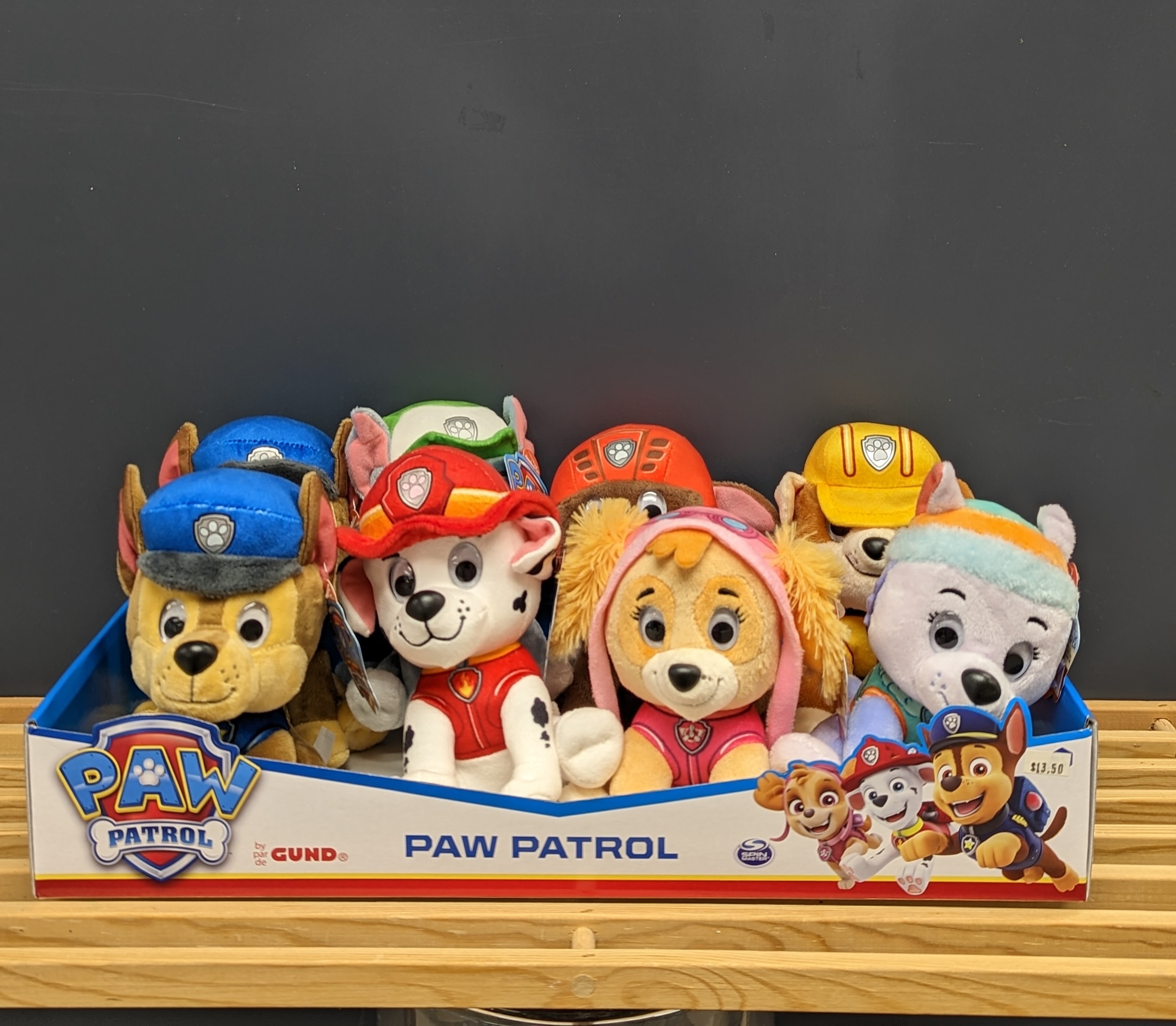 Paw Patrol Flower Delivery Evanston IL - Prestons Florist