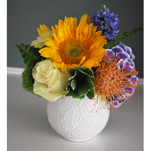 Alexa in Northbrook, IL | Edwards Florist of Northbrook