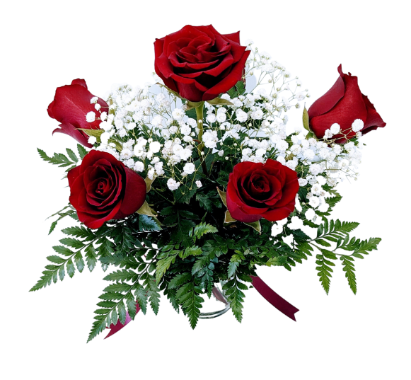6 Red Roses in an Ivy Bowl R-208 | Fiesta Flowers Plants & Gifts