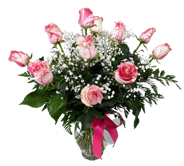 Magic Times Dozen Roses VM-210 | Fiesta Flowers Plants & Gifts