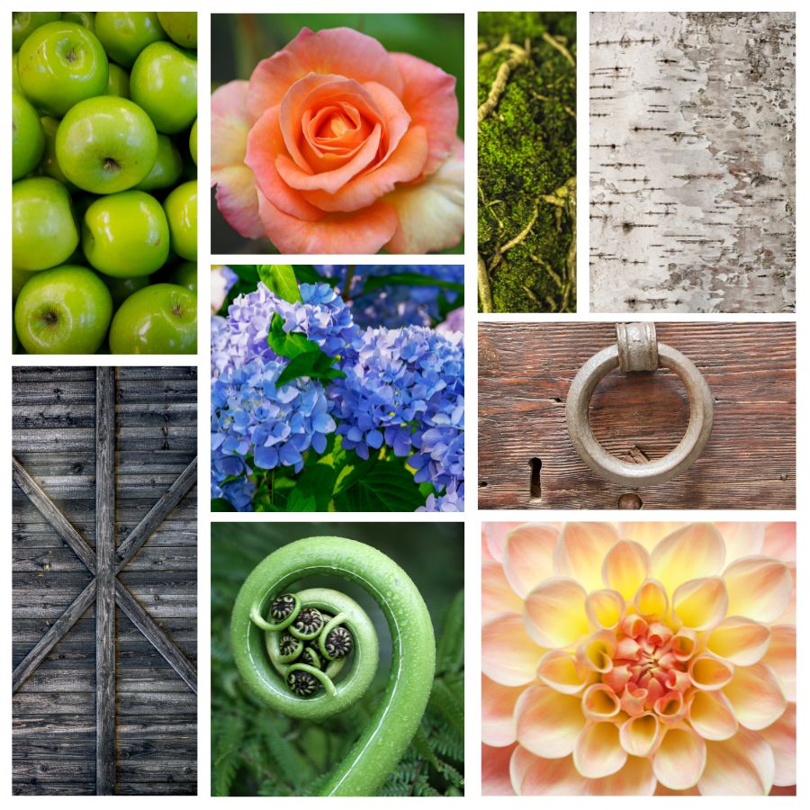 Local Florist | Same Day Flower Delivery | Main Street Floral Company