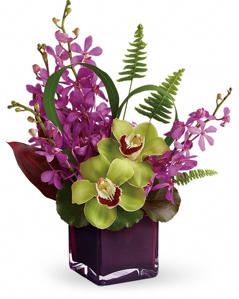 Teleflora's Island Princess in Baltimore MD - Peace and Blessings Florist