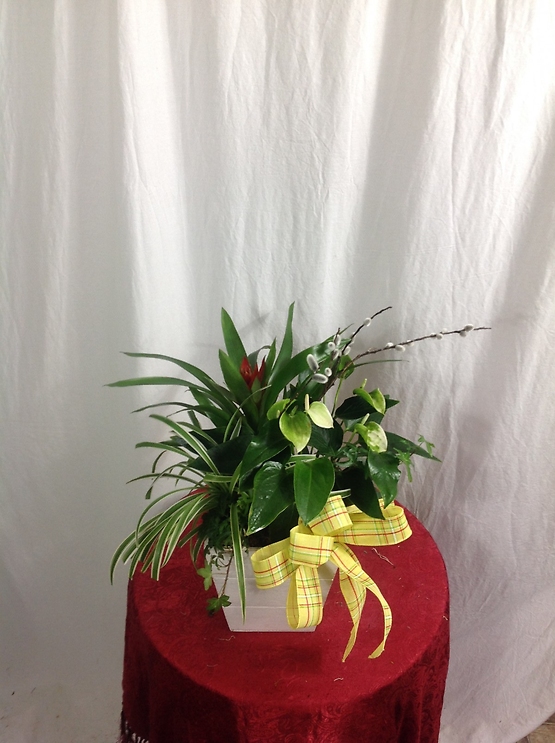 Wooden Box of Plants arranged by a florist in Etowah, NC : Etowah Florist