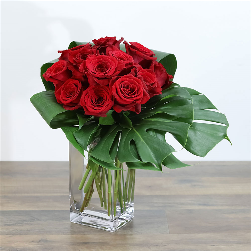 Modern Roses (12) | A Perfect Bloom Memphis | Memphis Florist