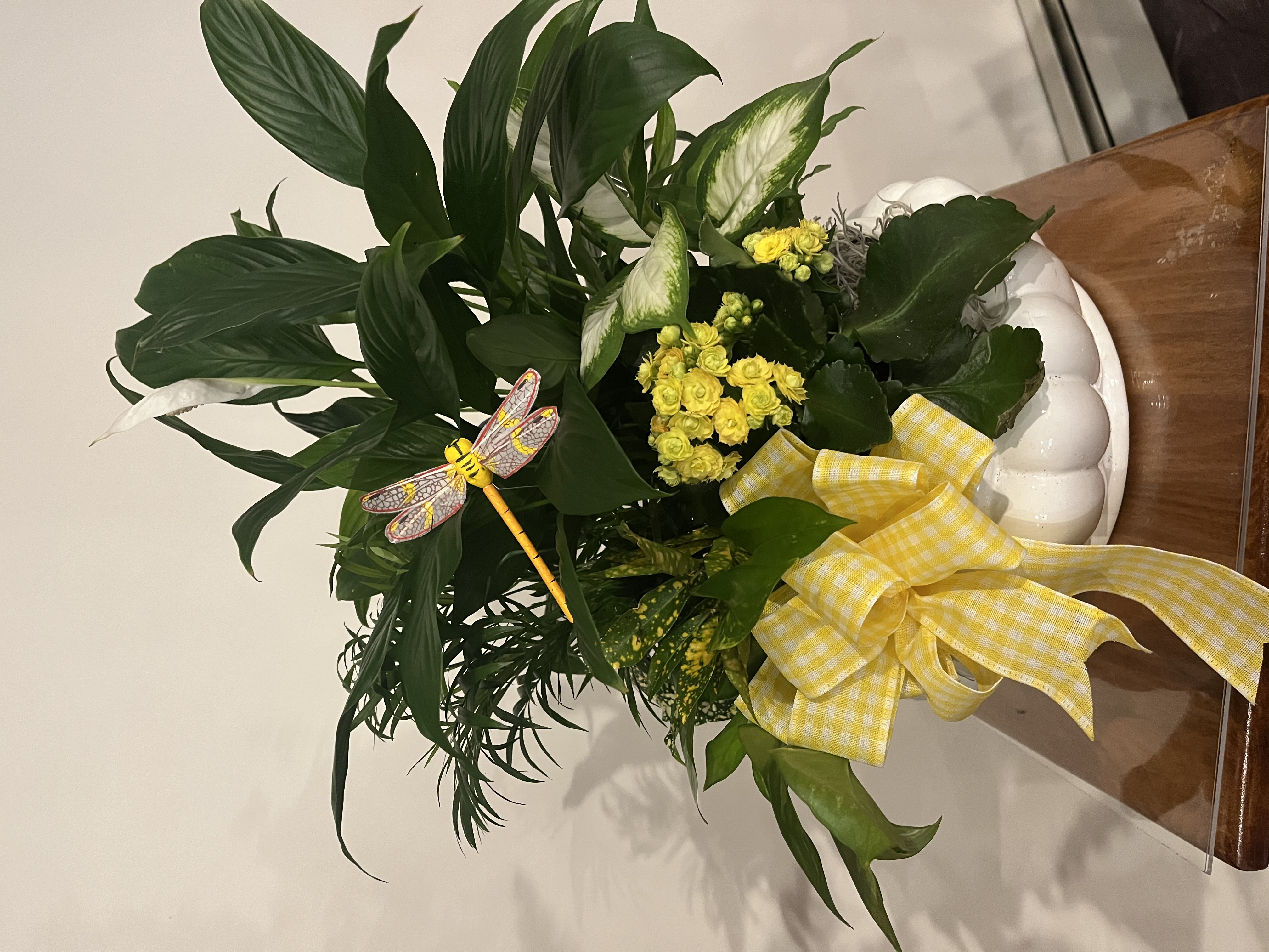 Plants Flower Delivery Ravena NY - Janine's Floral Creations