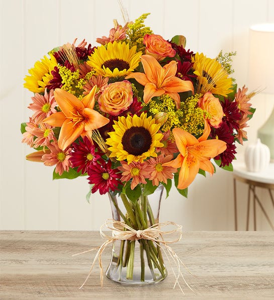 Fields of Europe® For Fall