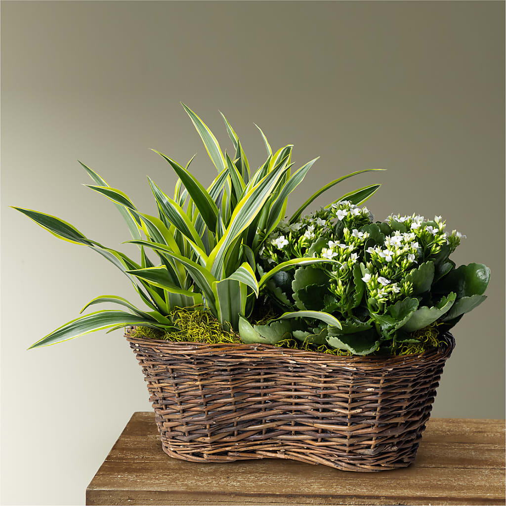 Blooming Garden – Chattanooga Florist