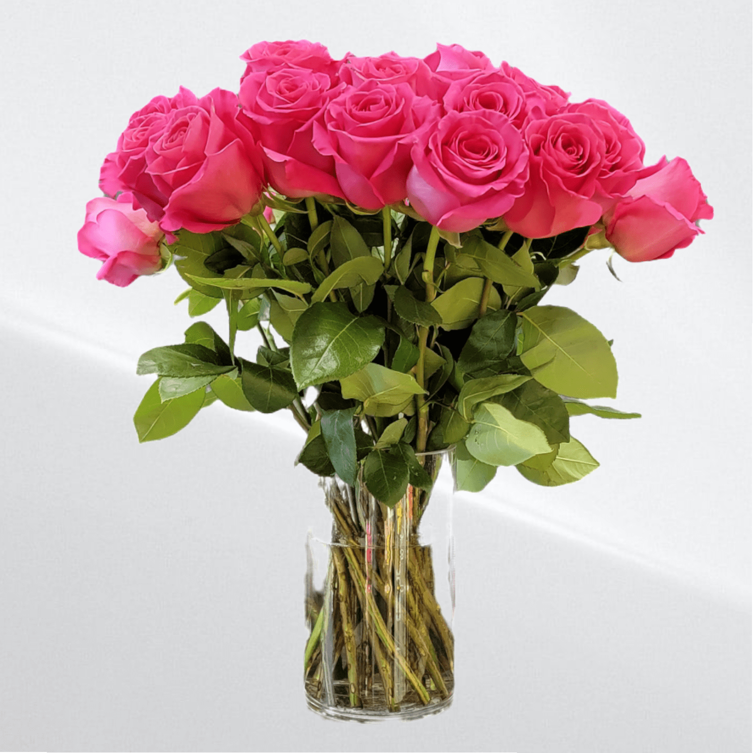 CLASSIC HOT PINK IN VASE Flower Delivery Las Vegas NV - Vegas Rose Flowers