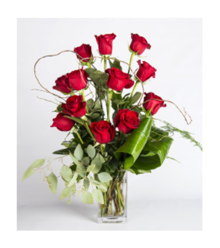 Petra Picture Perfect Roses - Send to East Lansing, MI Today!