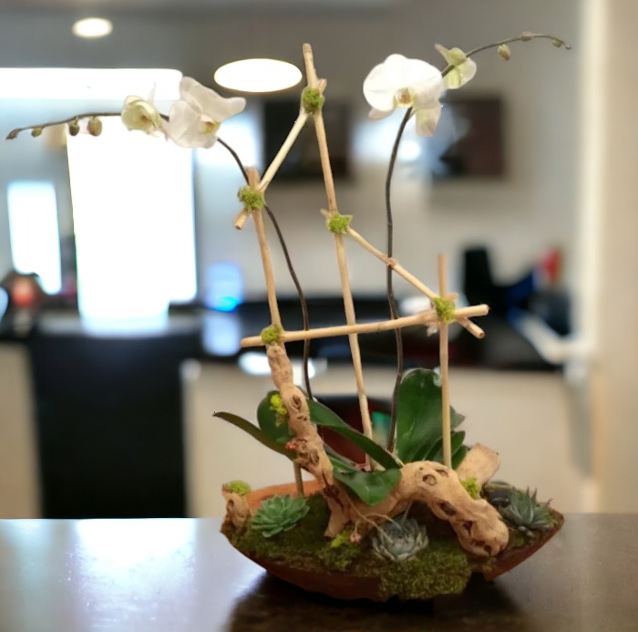 Orchid Plants Flower Delivery Santa Ana CA - Floral Creations by Enzo