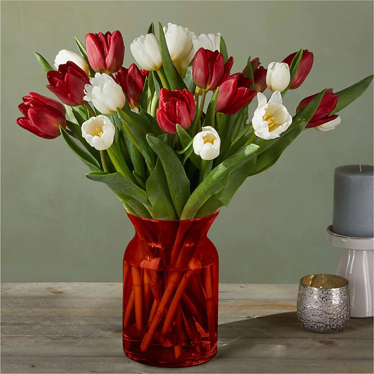Candy Cane Tulips with Red Vase