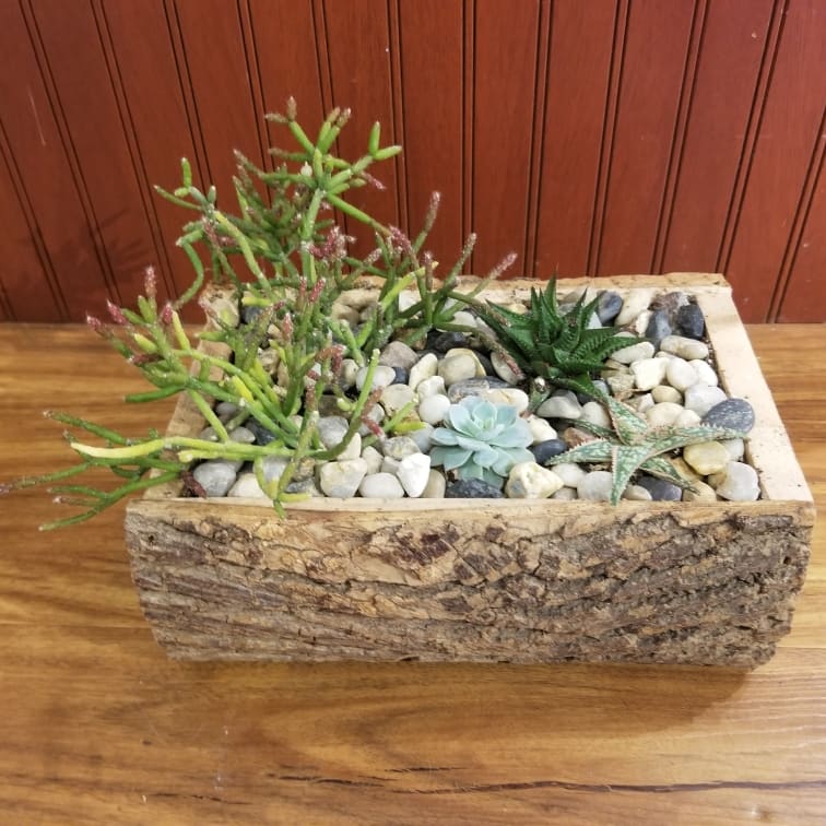 Rustic Wood Rectangle Succulent incredible Arrangement Planter