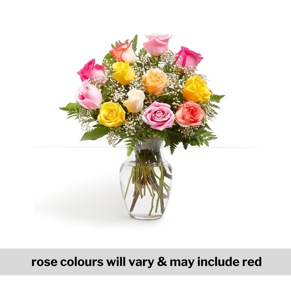Timeless - One Dozen Mixed Colour Roses Flower Delivery London ON ...