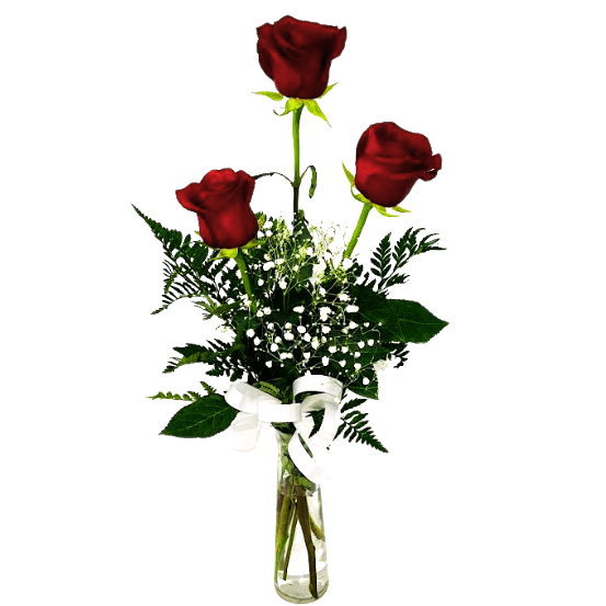 3 Red Roses in a Bud Vase VM-1794 | Fiesta Flowers Plants & Gifts