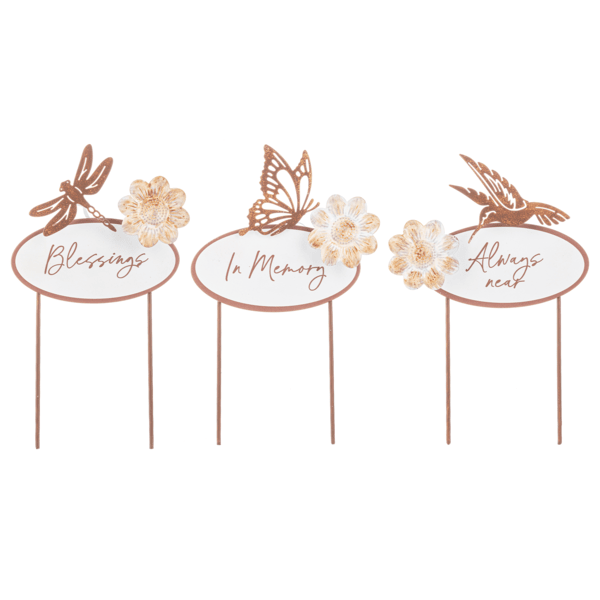 Memory Plant Pick Flower Delivery Dickinson TX - Crowder-Deats Flowers ...