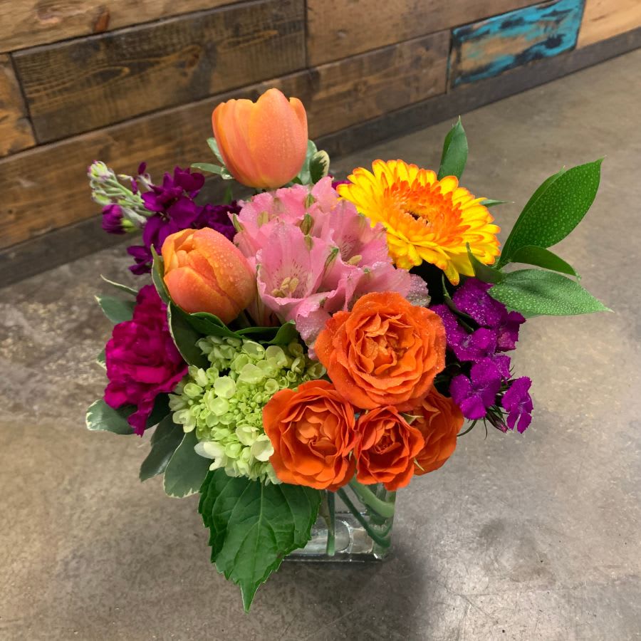 Best Specialty Flowers | Specialty Flowers Delivered | Main Street ...