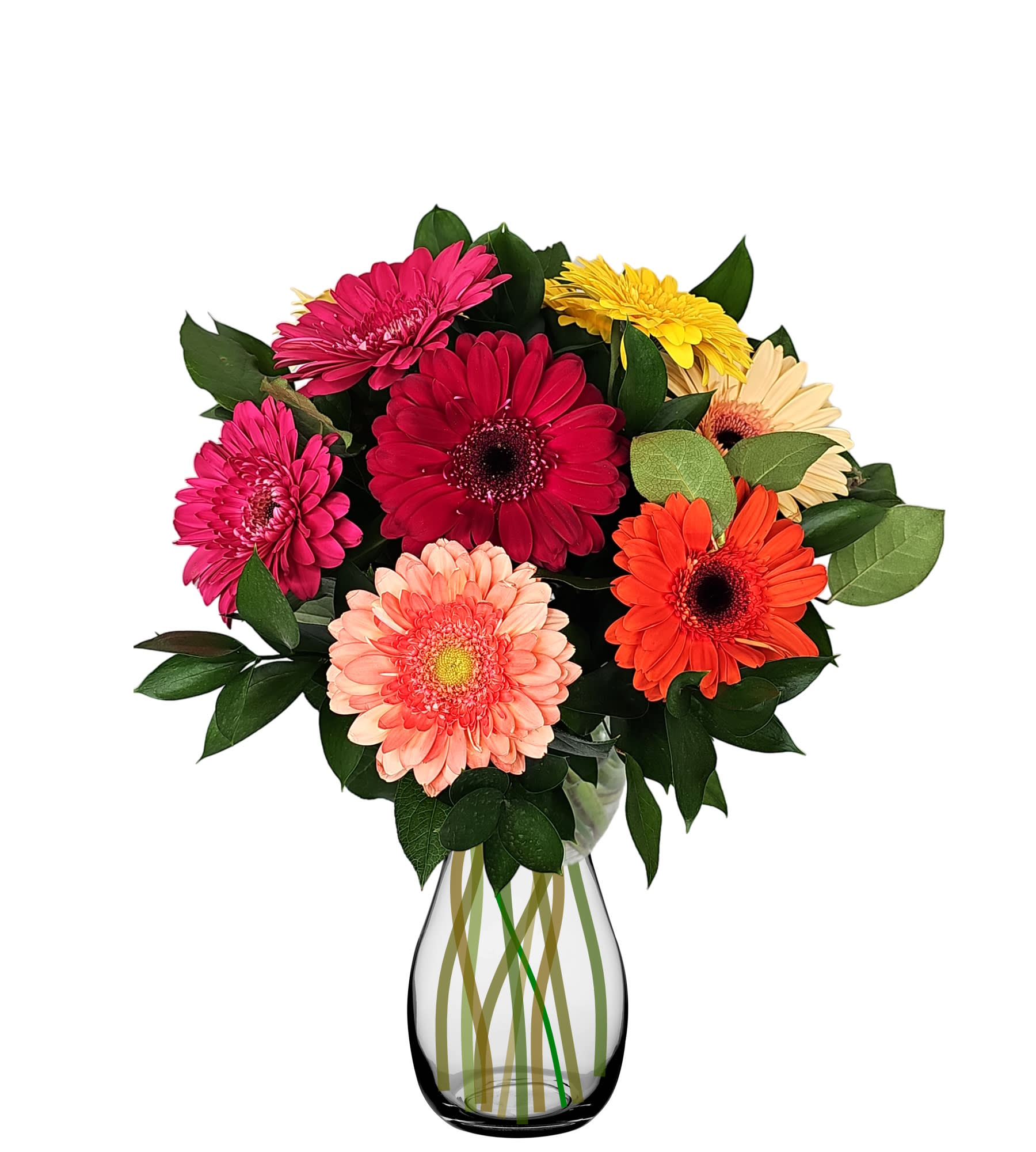 Fiesta Gerbs - 9 Vibrant Gerbera Daisy Arrangement | My Floral Shop