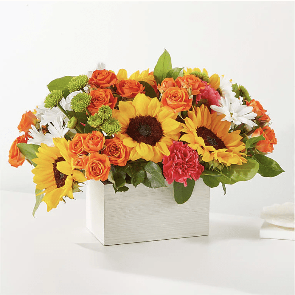 Sun-drenched Blooms Box Bouquet Flower Delivery Green Bay WI - Bee ...