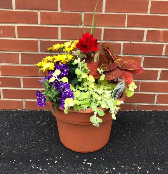 Combo Pot Flower Delivery Ottawa IL - Blythe Flowers