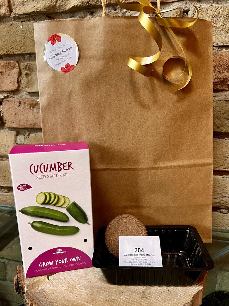 Everything you need seed kit - Cucumber Flower Delivery Toronto ON ...