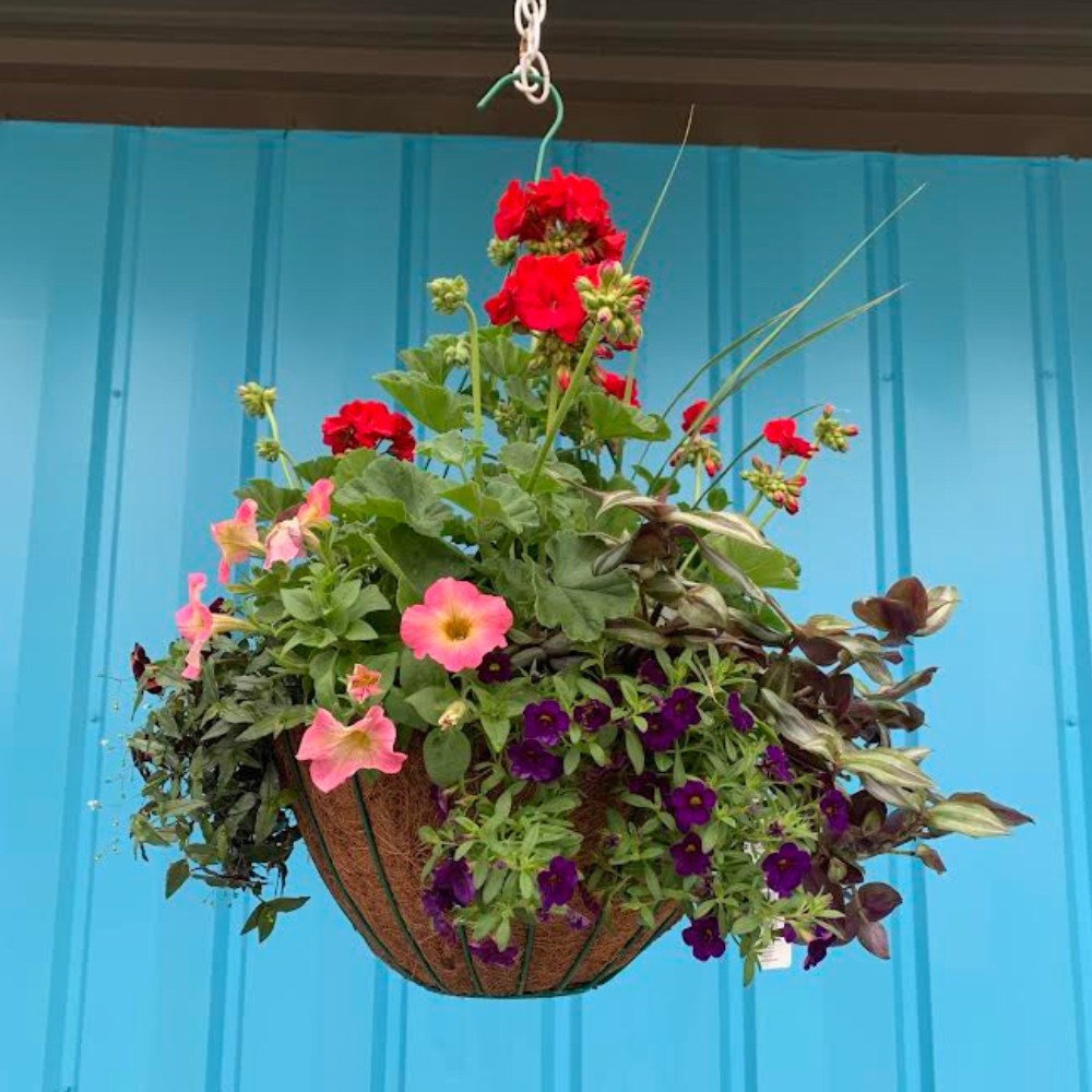 CoCo Baskets Flower Delivery Etowah NC - Etowah Florist LLC