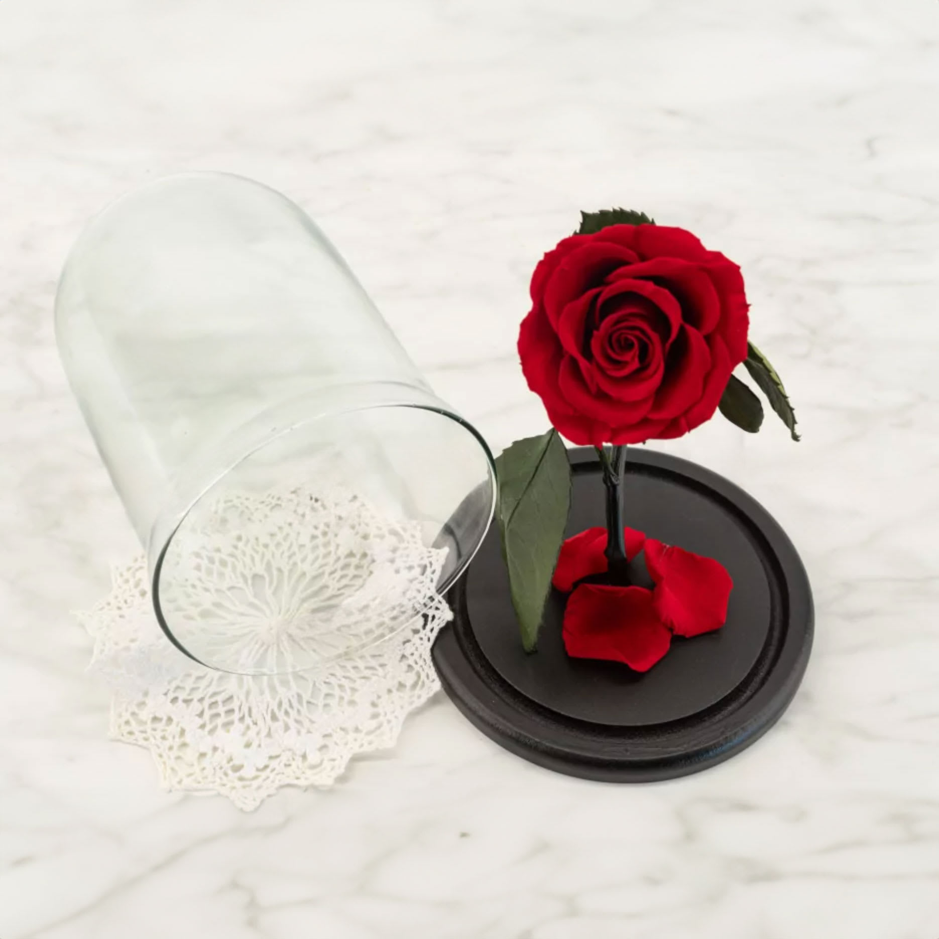Everlasting Beauty Flower Delivery Bronx NY - Flowerland NYC