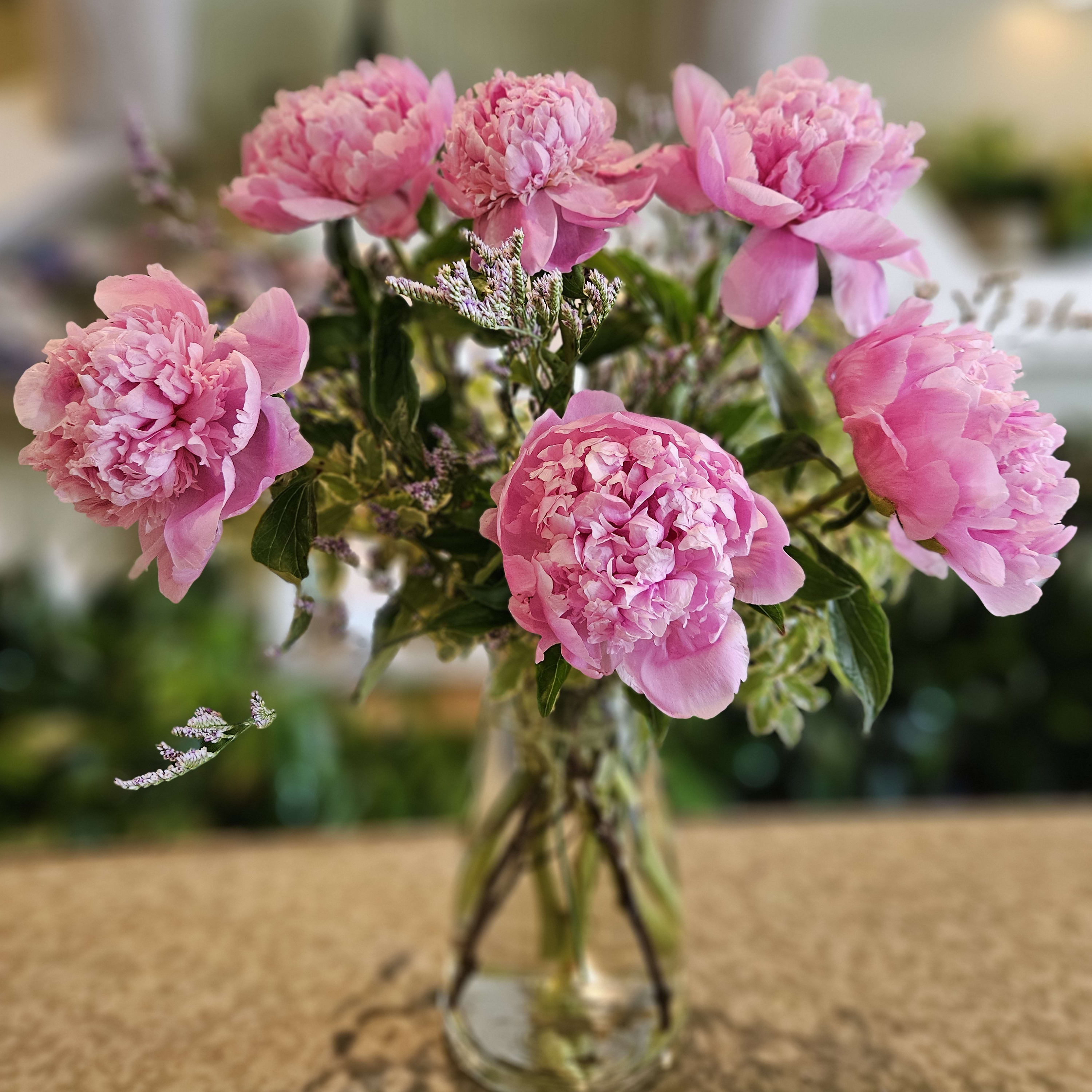 Peonies in Bloom Flower Delivery Mobile AL - Cleveland the Florist