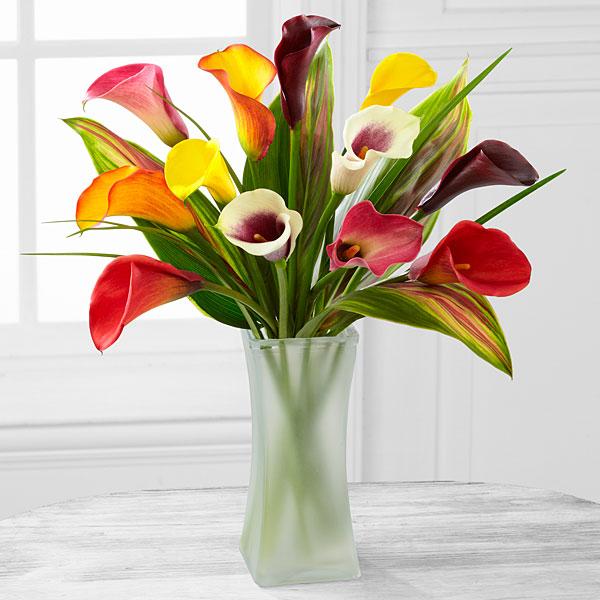 Captured Color Calla Lily Bouquet - 12 stems, No Vase Flower Delivery ...