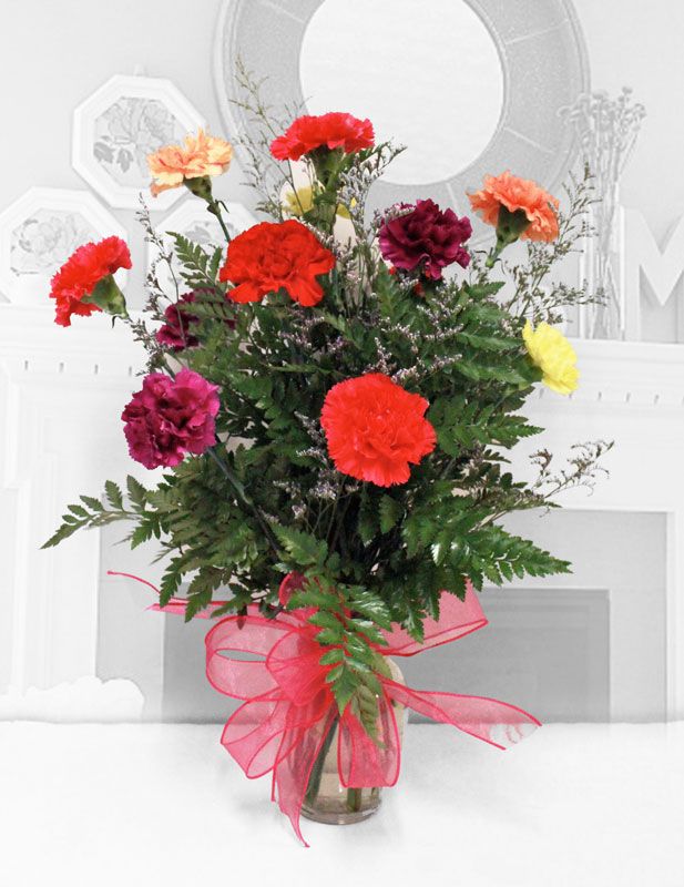 Classic Dozen Carnation Arrangement Carlinville Florist: Main Street ...