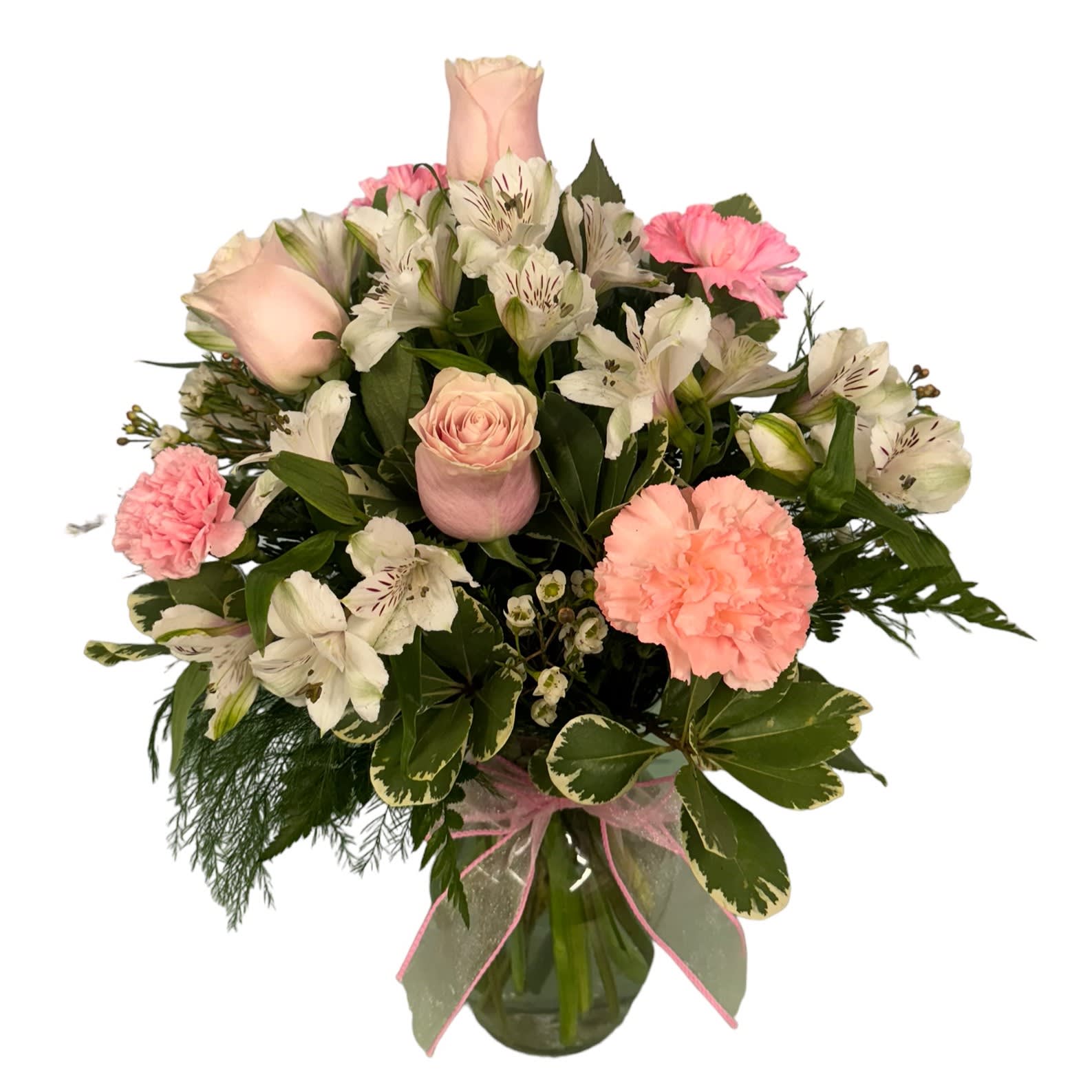 Bashful in Highland, IL | The Greenhouse of Highland Florist & Gift Shop