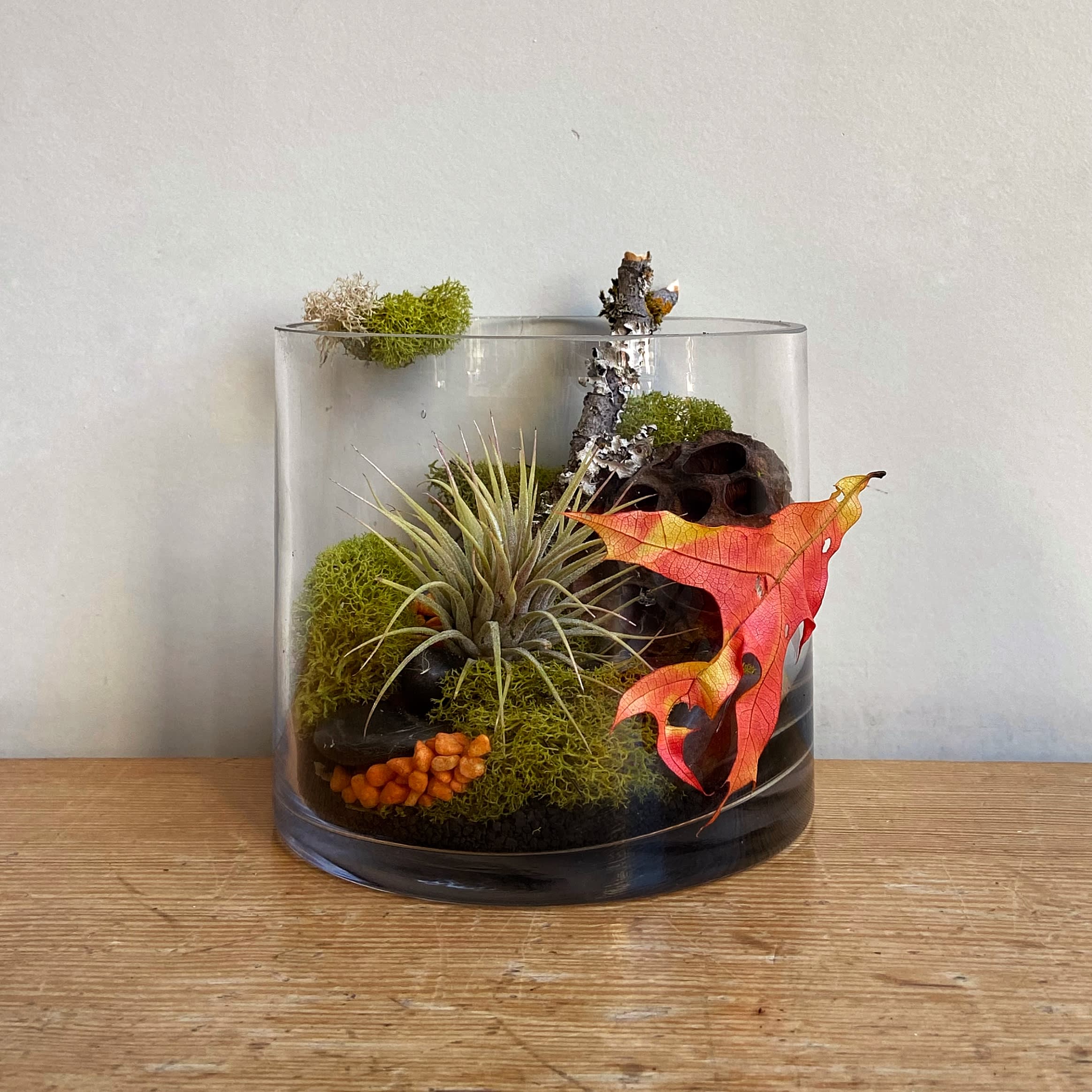 September Airplant Terrarium Flower Delivery Victoria BC - Poppies ...