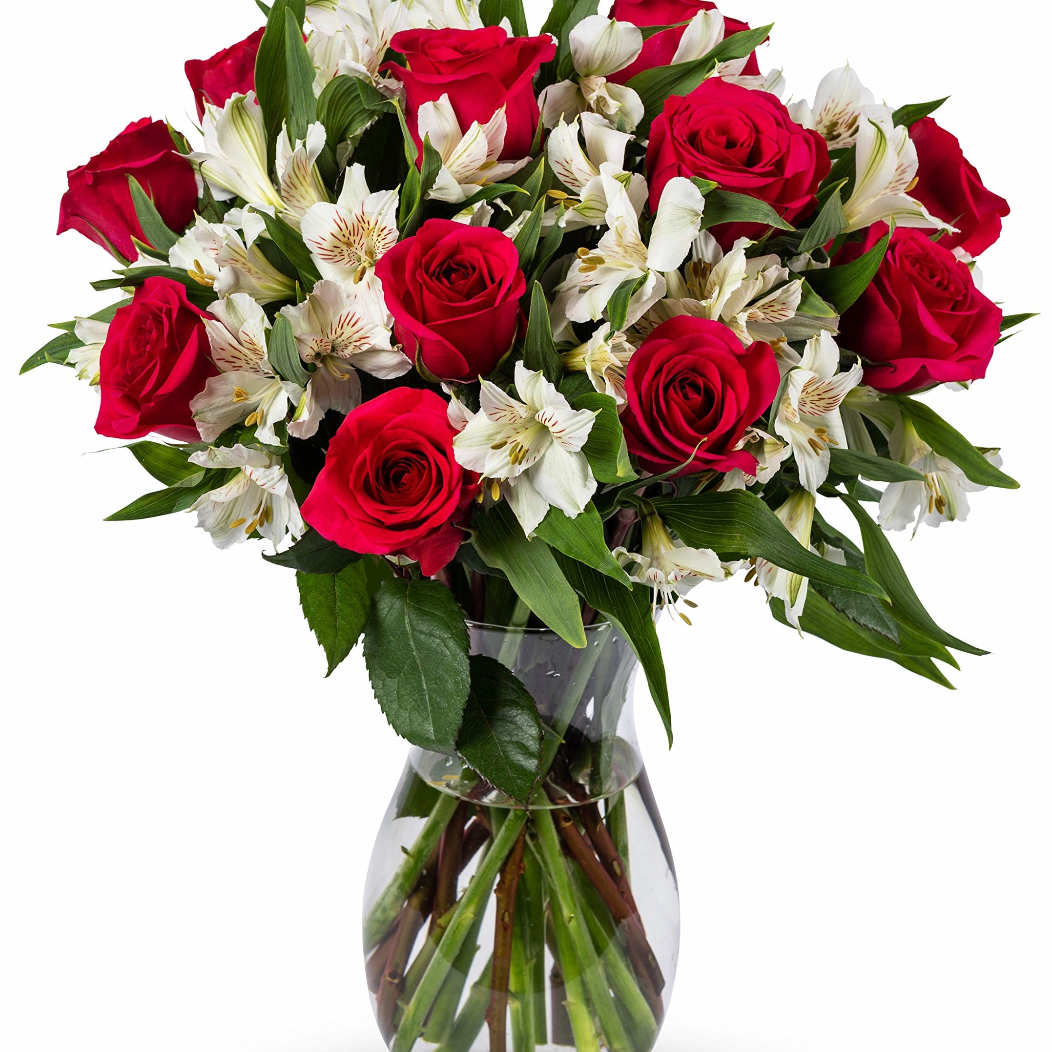 Dozen Red Roses with Alstroemeria Flower Delivery Midland TX ...