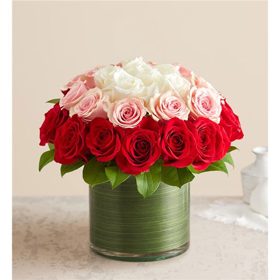 Ombre Roses Flower Delivery El Cajon CA - Conroys Flowers