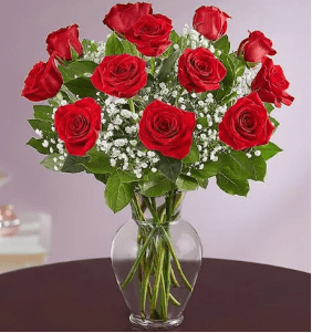 Dozen Premium Roses