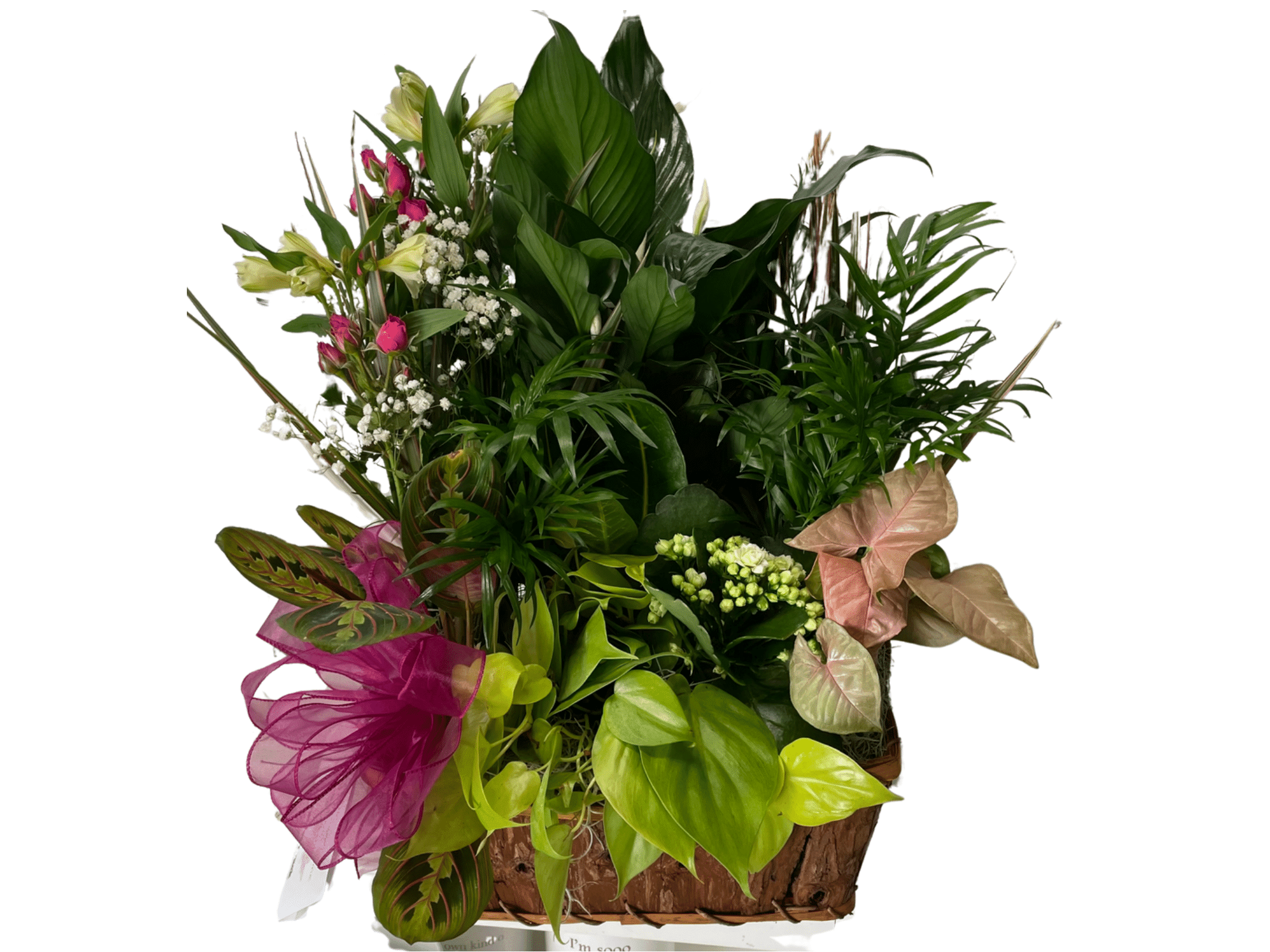 Assorted Plant Basket Flower Delivery Warner Robins GA - The Flower Truck