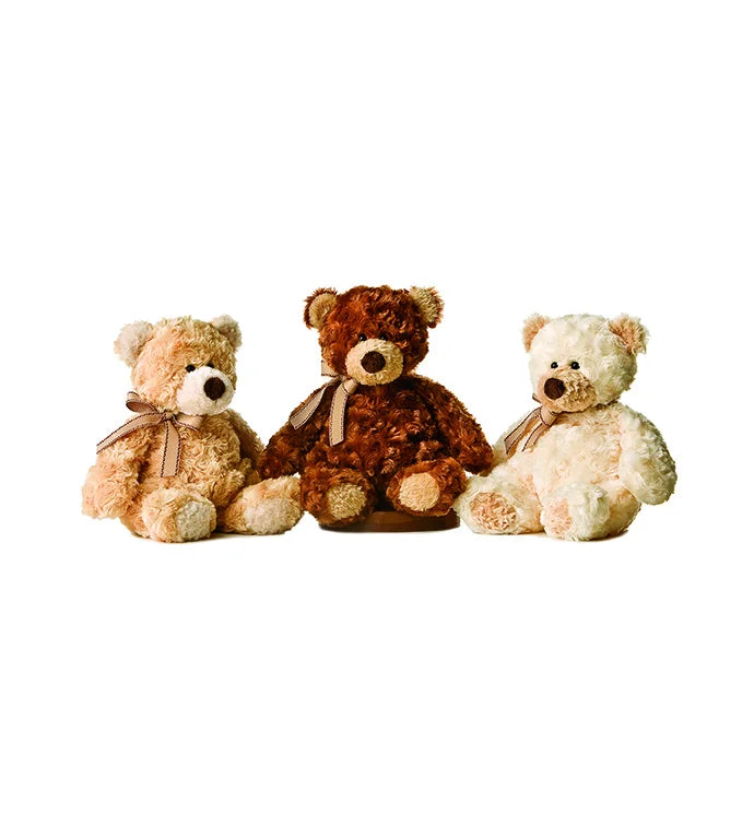 10" BloomNet Exclusive Bear–Athens Flowers & Designs Inc